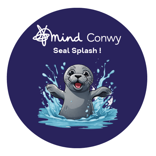 Conwy Mind Splash – Sional Club Shops